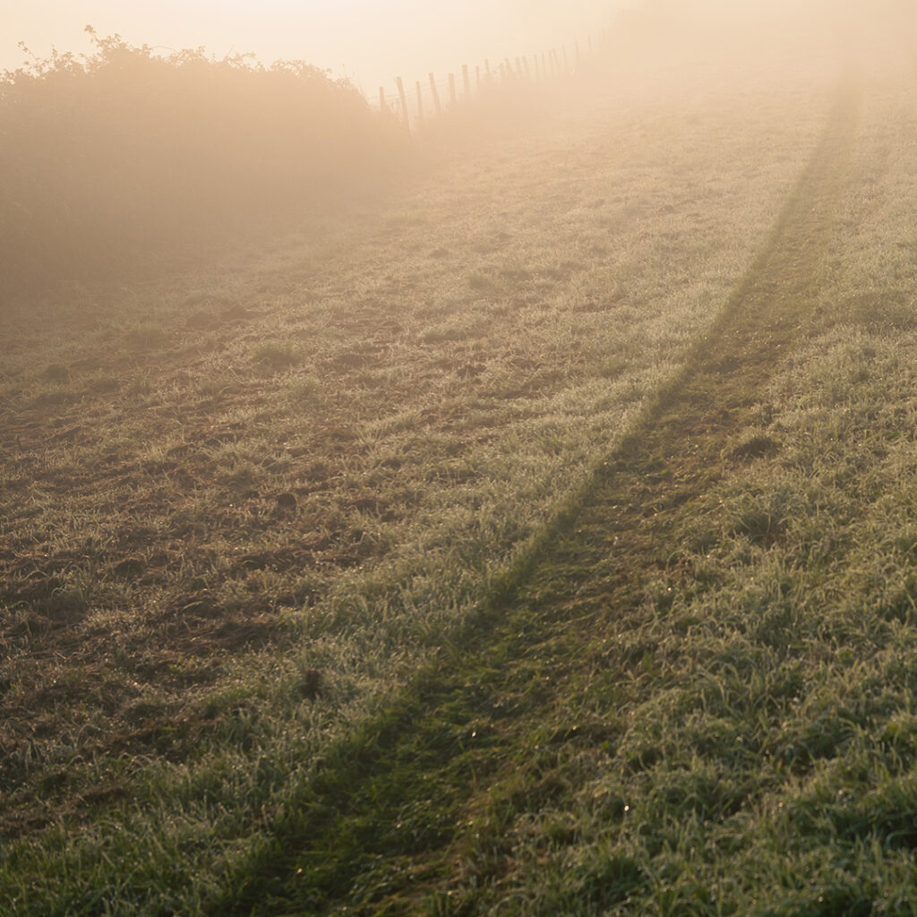 BNG - Biodiversity Net Gain Units - Longbridge